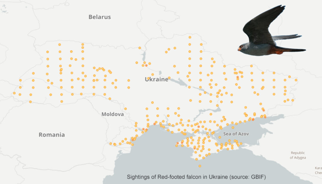 GBIF Viewer – The Habitat Foundation